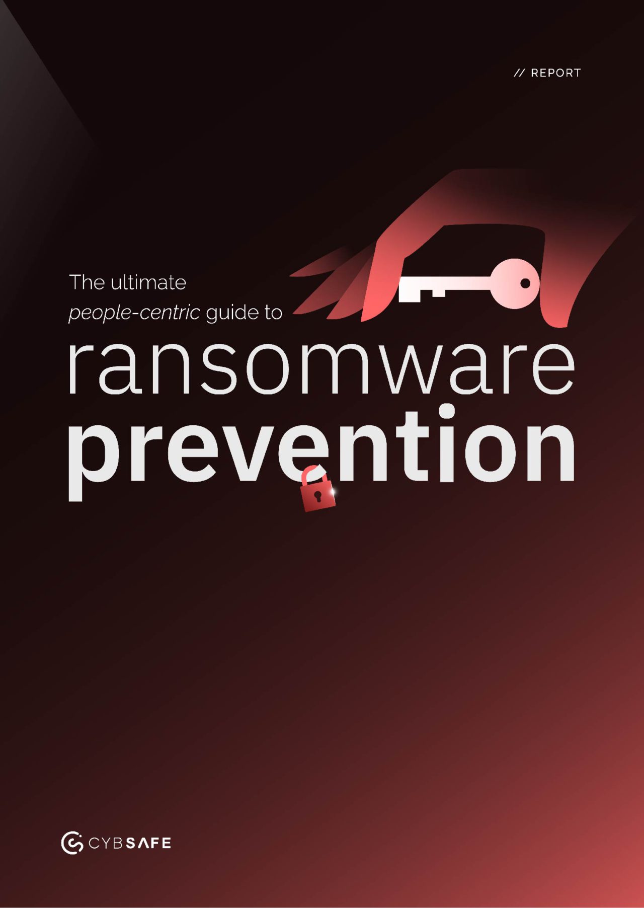 The Ransomware Toolkit