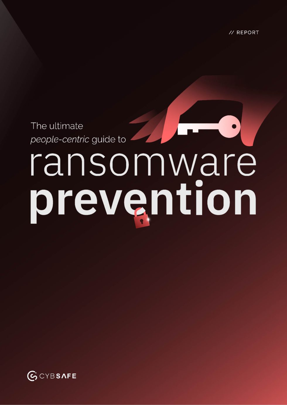 The Ransomware Toolkit